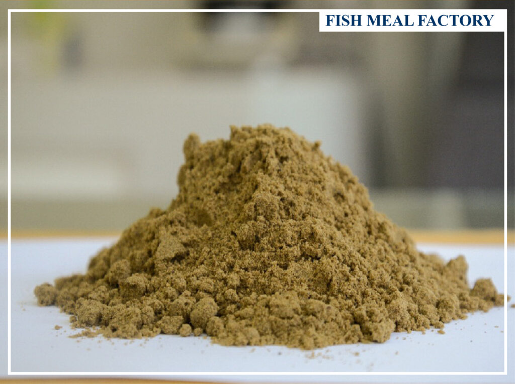 Fish Meal Factory