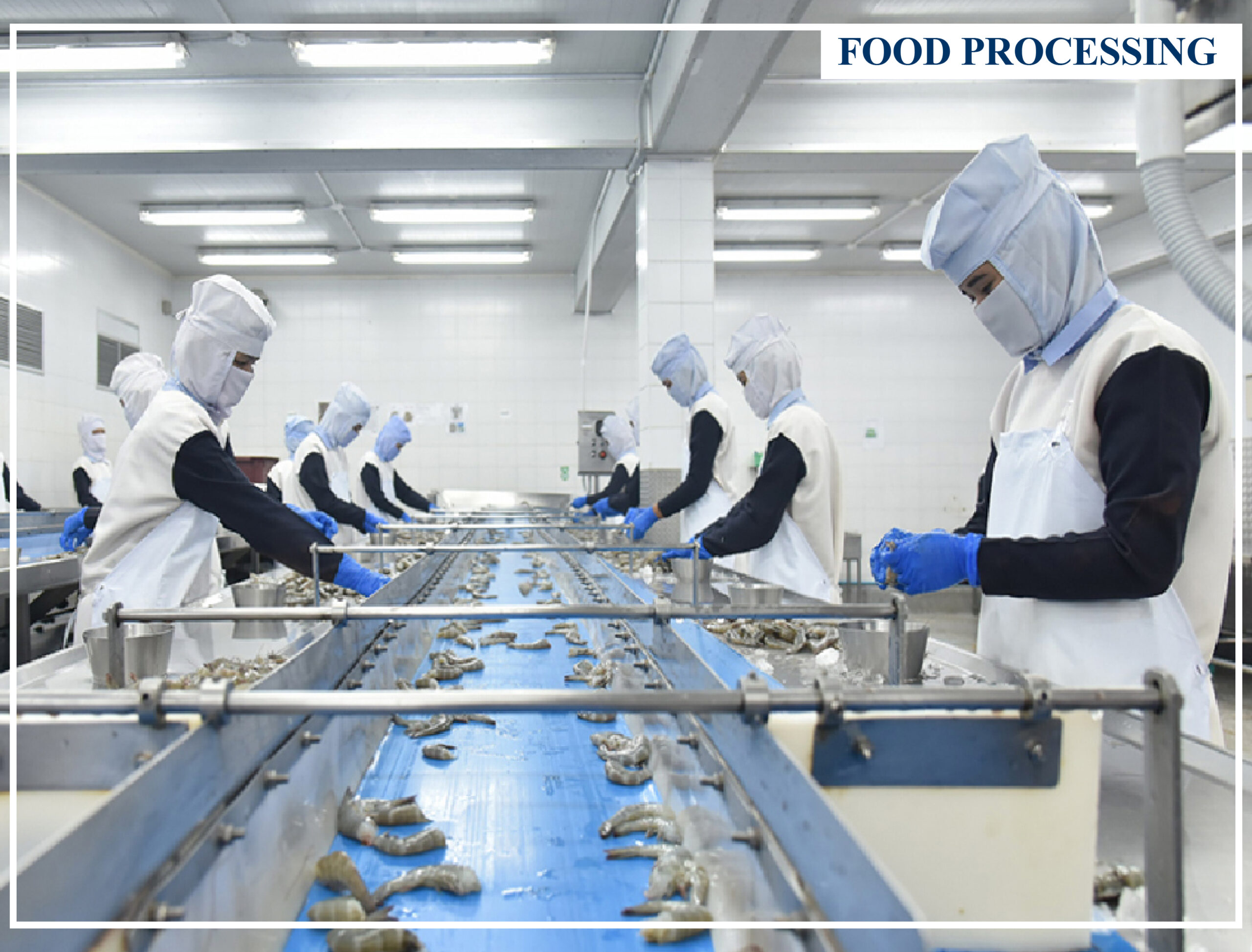 Food Processing Factoty